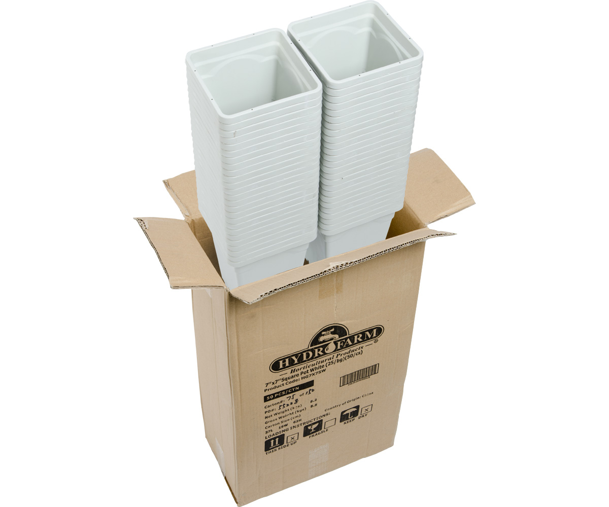 Active Aqua 7" x 7" Square White Pot, 9" Tall, case of 50